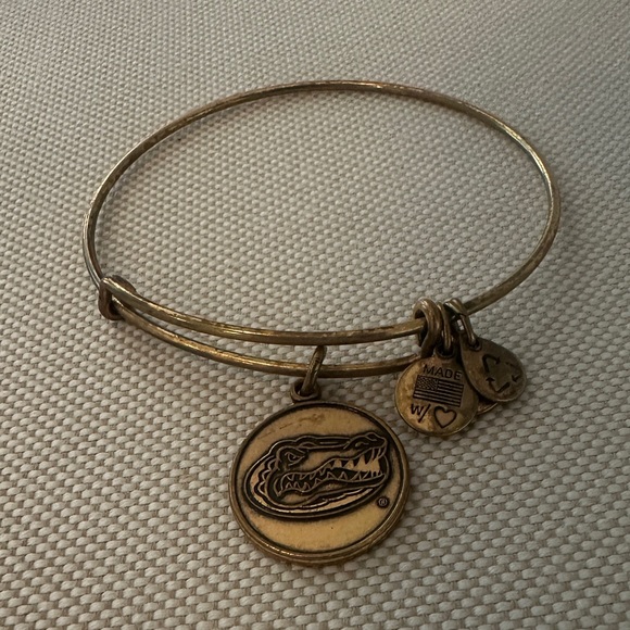 Alex and Ani | Jewelry | Alex Ani University Of Florida Gators Bracelet ...